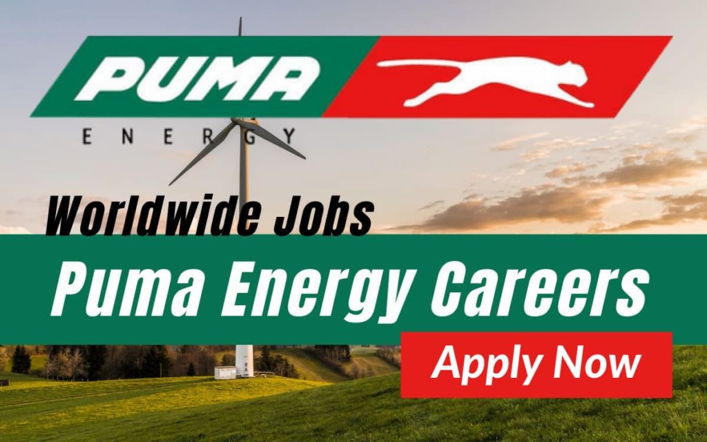 Puma Energy Jobs Ghana, S.Africa, P.N.Guinea, Mozambique, Zimbabwe ...